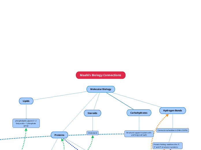 Maahi's Biology Connections - Mind Map